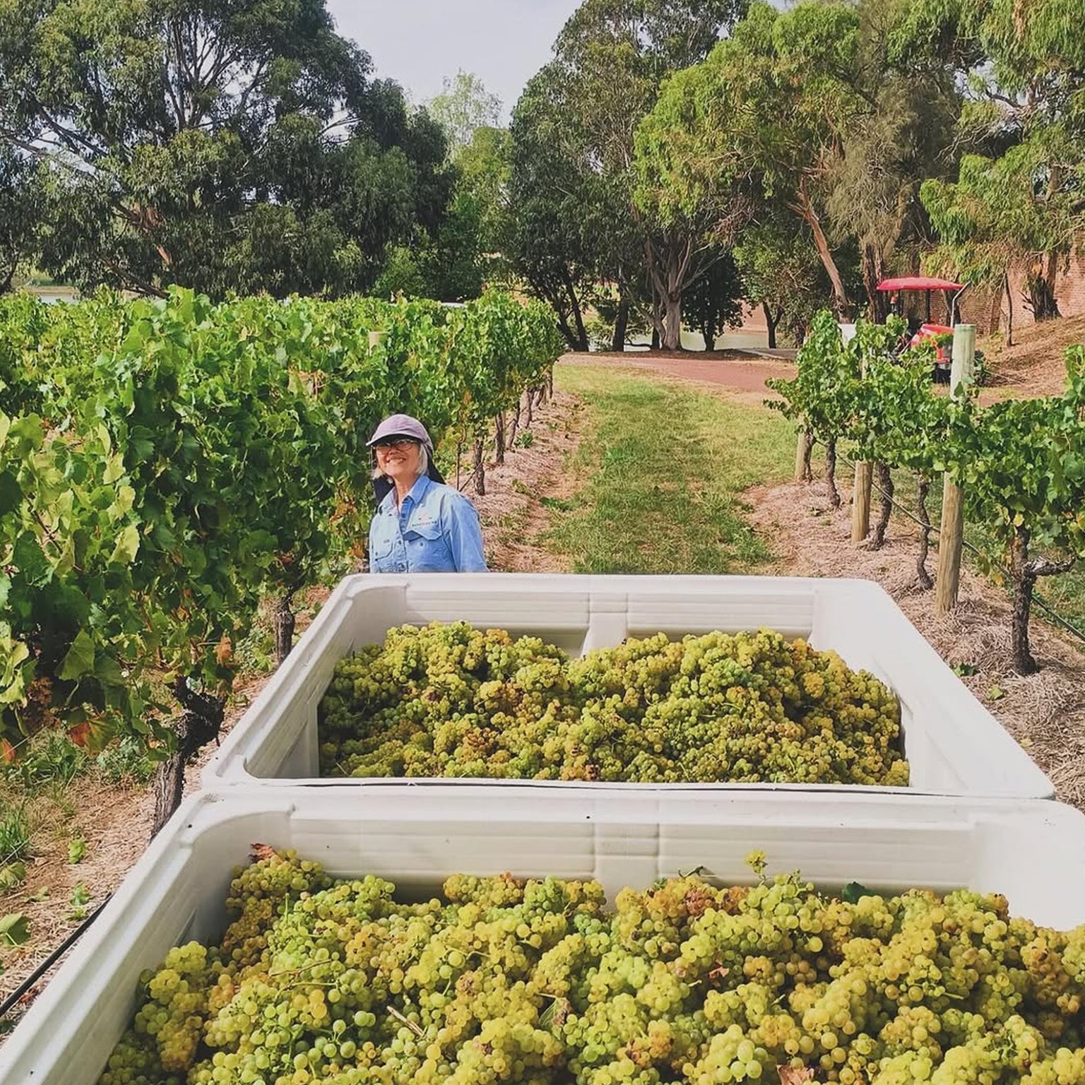 Hennessy VS Cognac 2024 NBA Limited Edition 700ml | Kent Street Cellars