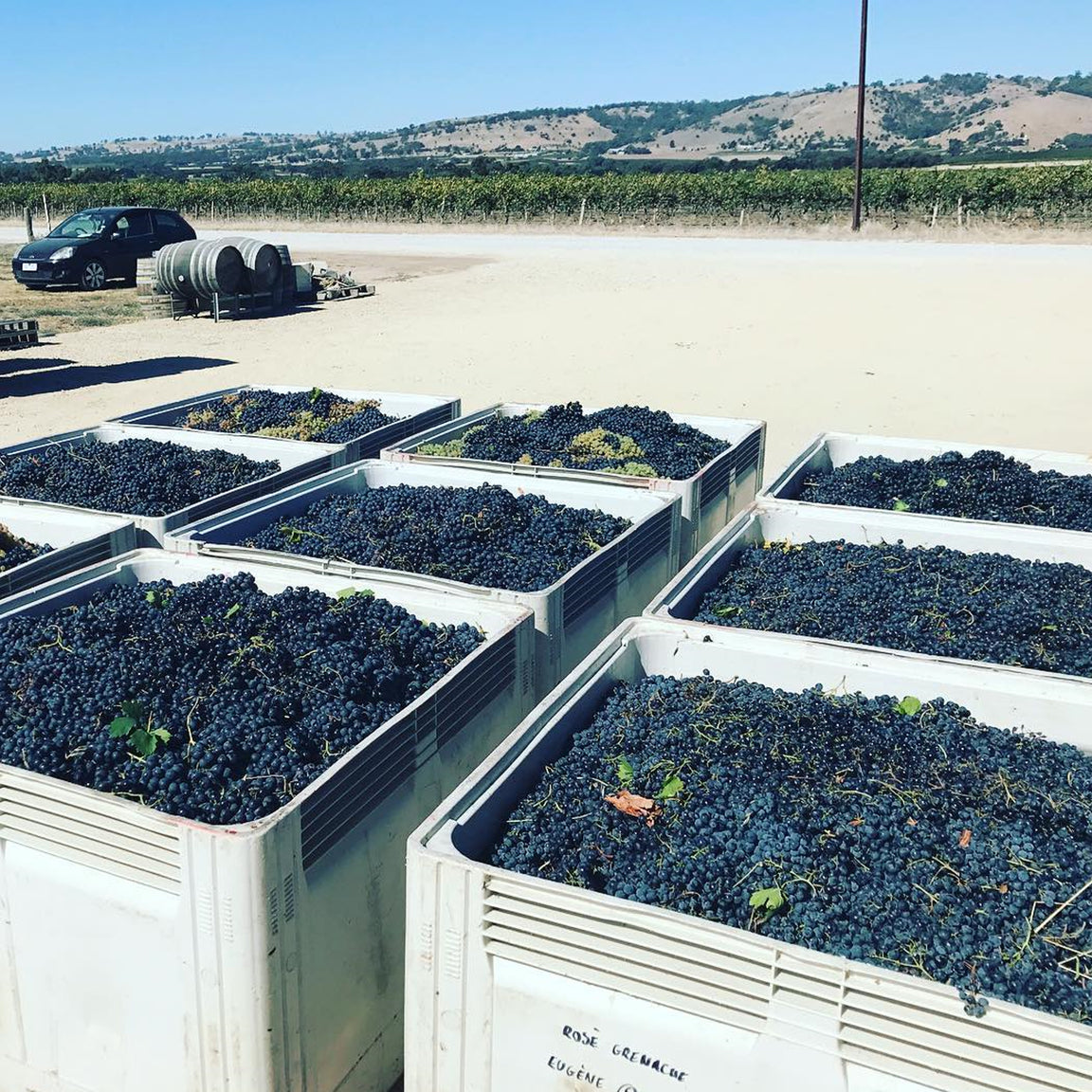 Hennessy VS Cognac 2024 NBA Limited Edition 700ml | Kent Street Cellars